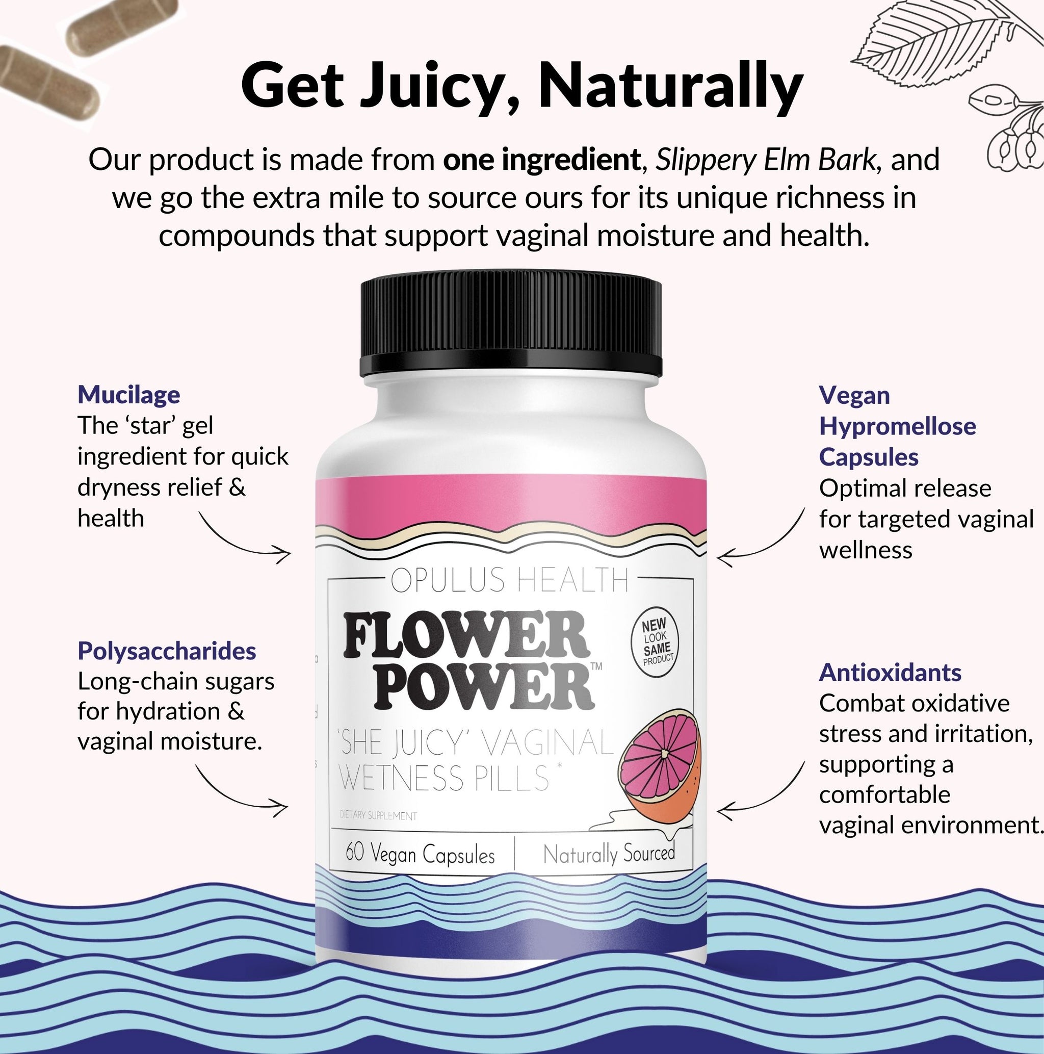 Flower Power® 'She Juicy' Vaginal Moisture Supplement (60ct/ea ...